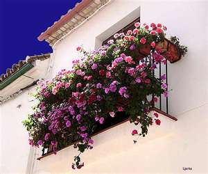 Decoração em Varandas com Flores - Fotos e Modelos