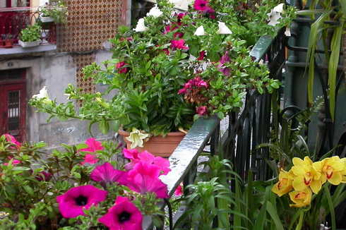 Decoração em Varandas com Flores - Fotos e Modelos