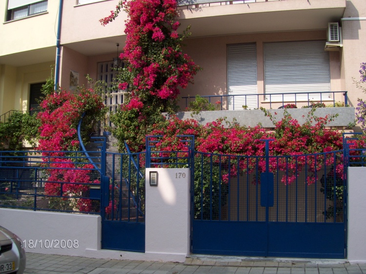 Decoração em Varandas com Flores - Fotos e Modelos